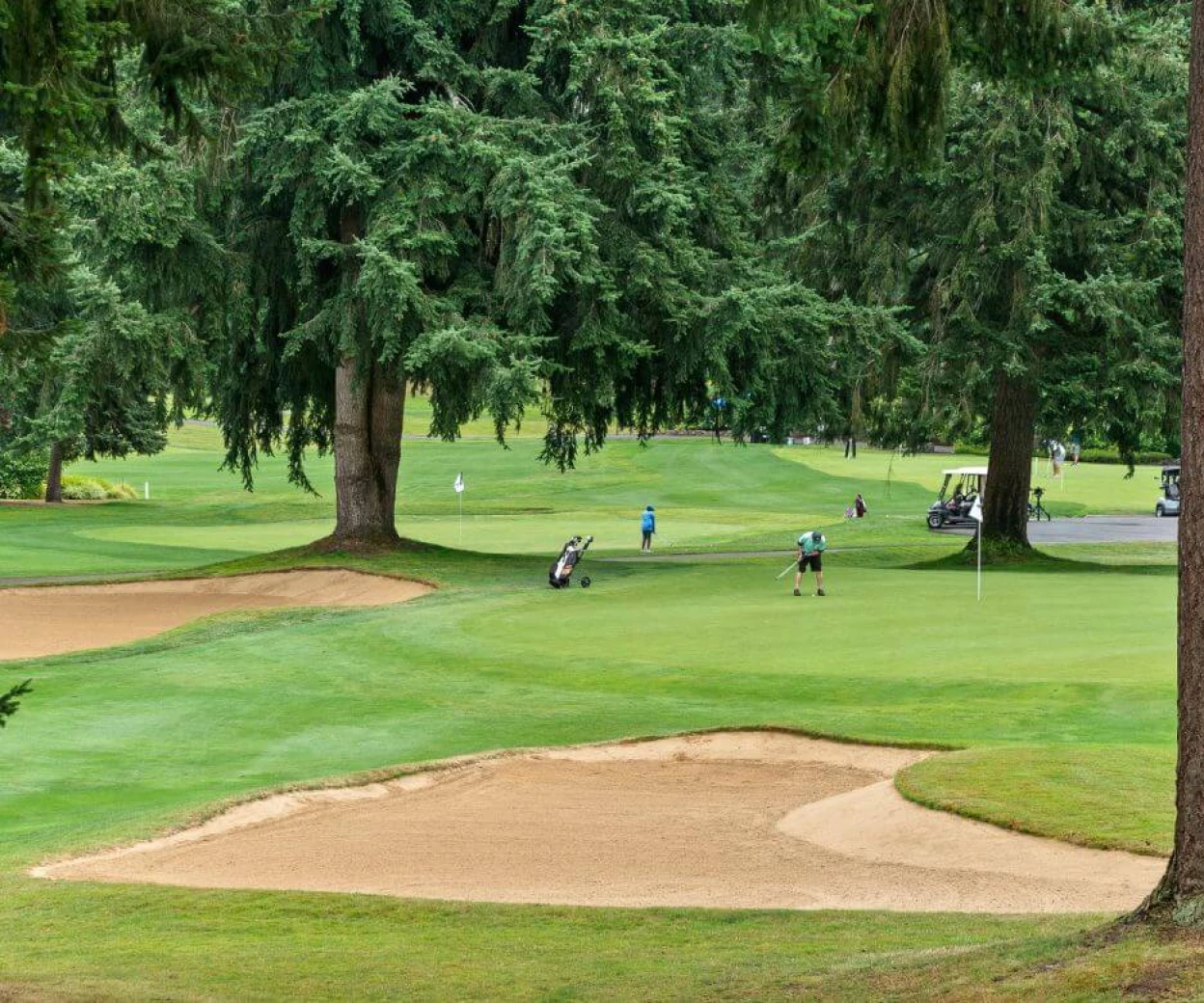 Senior & Assisted Living Fairwood - Renton WA | Village Concepts